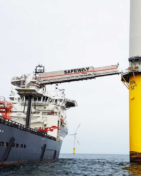 Seagull | Safeway Gangway